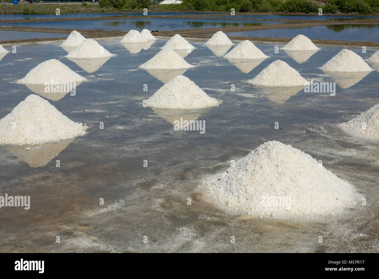 White salt field in sunny day. Royalty high quality free stock image of ...
