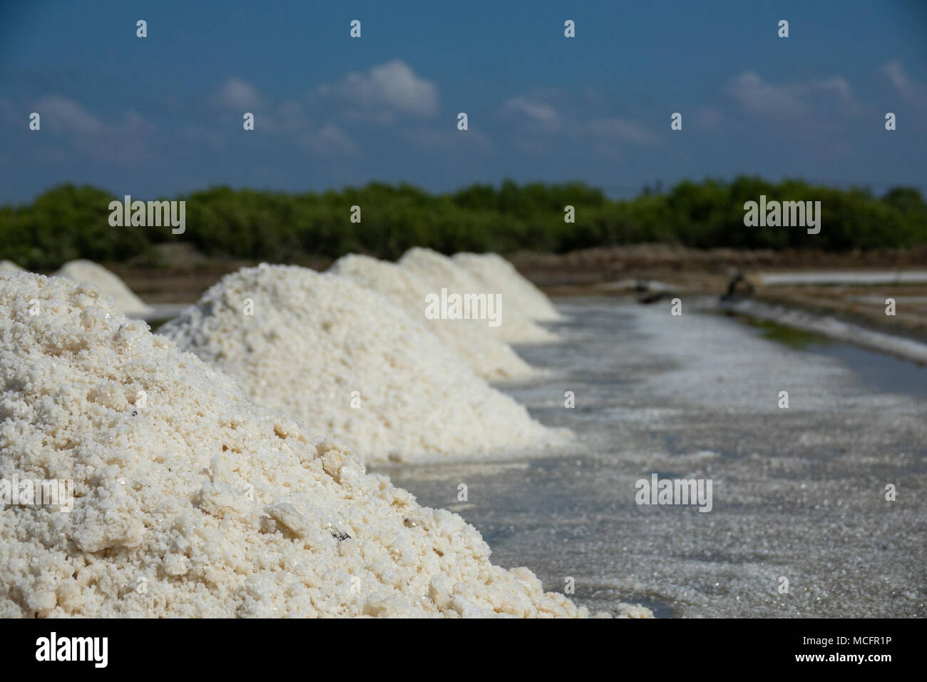 White salt field in sunny day. Royalty high quality free stock image of ...