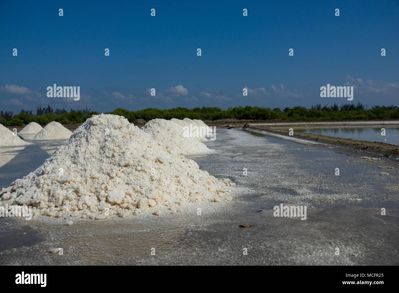 White salt field in sunny day. Royalty high quality free stock image of ...
