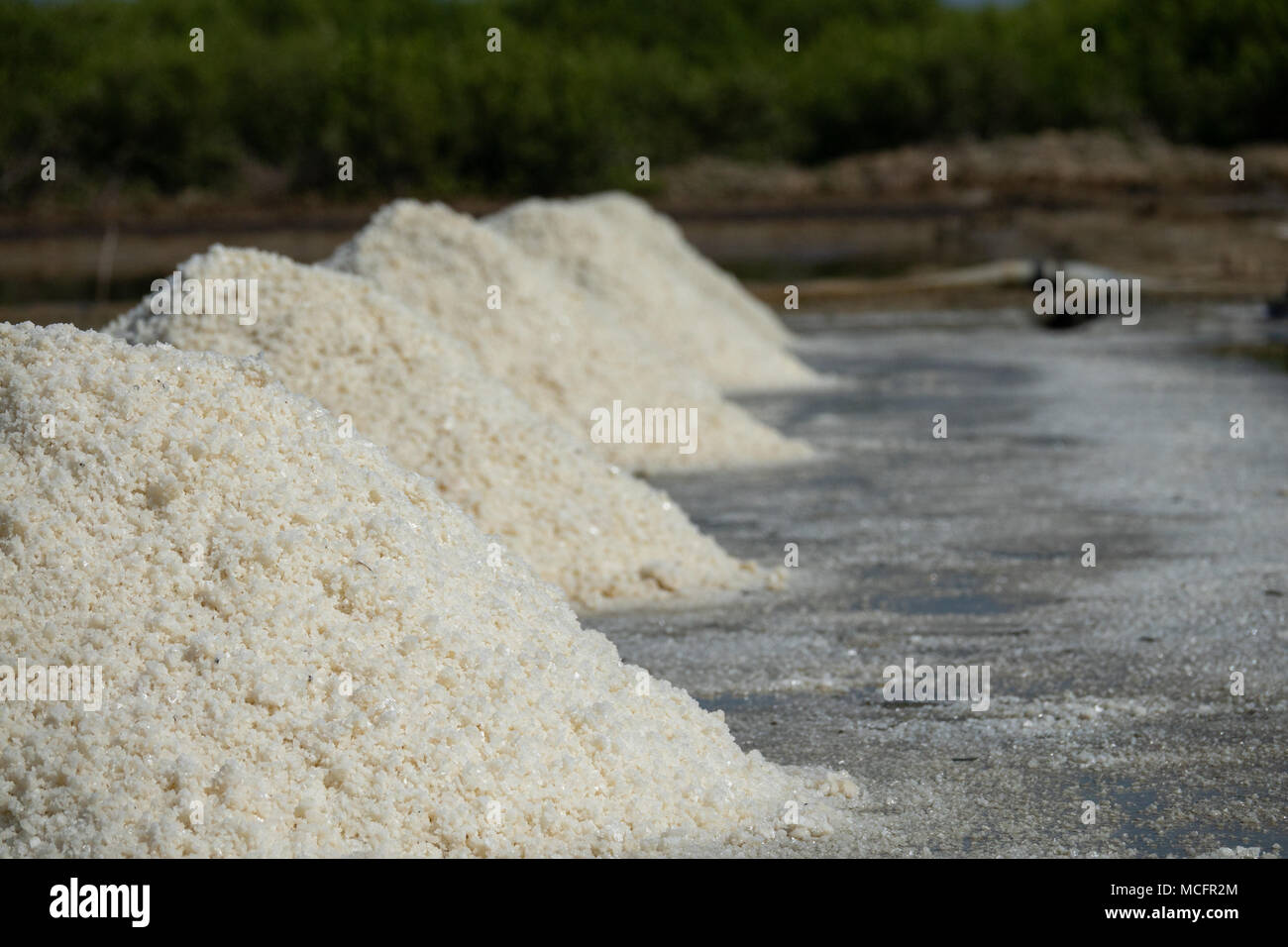 White salt field in sunny day. Royalty high quality free stock image of ...