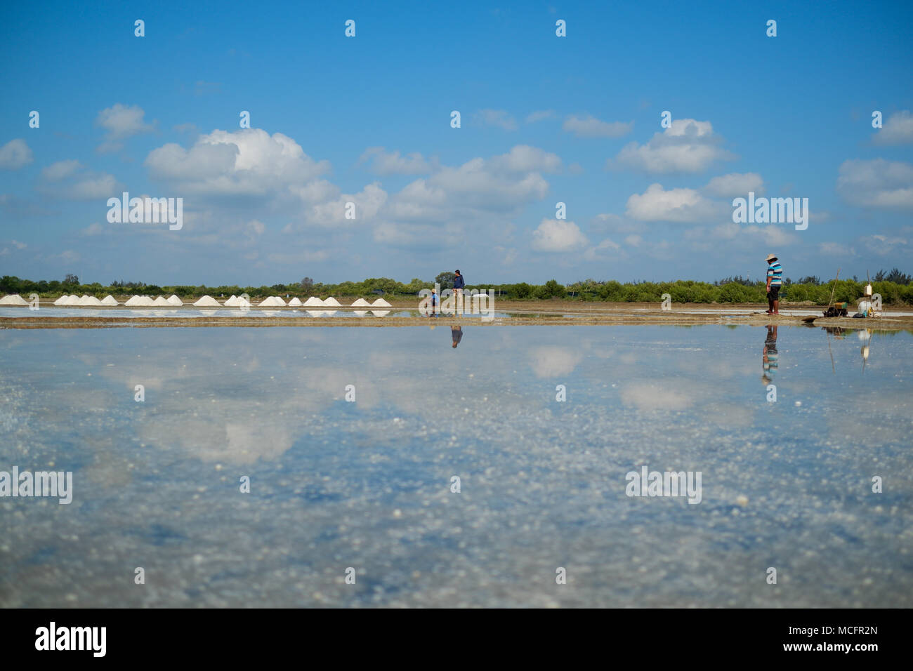 White salt field in sunny day. Royalty high quality free stock image of ...