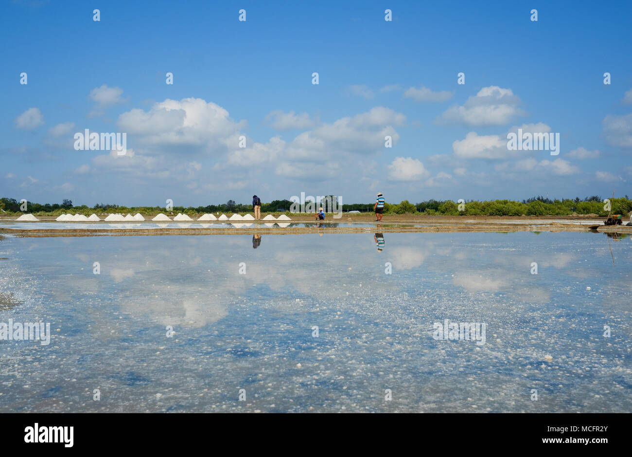 White salt field in sunny day. Royalty high quality free stock image of ...