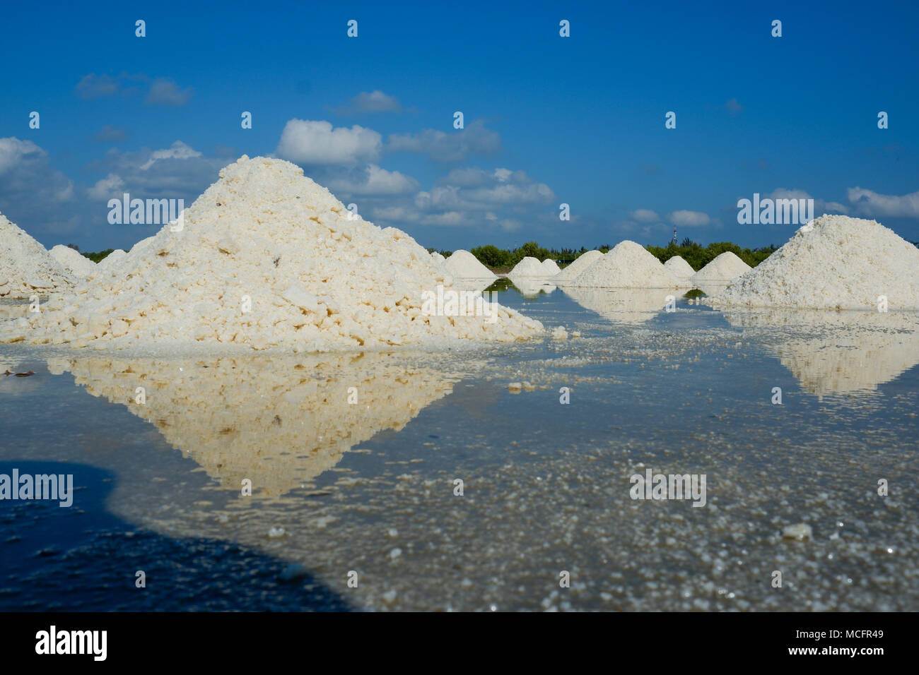 White salt field in sunny day. Royalty high quality free stock image of ...