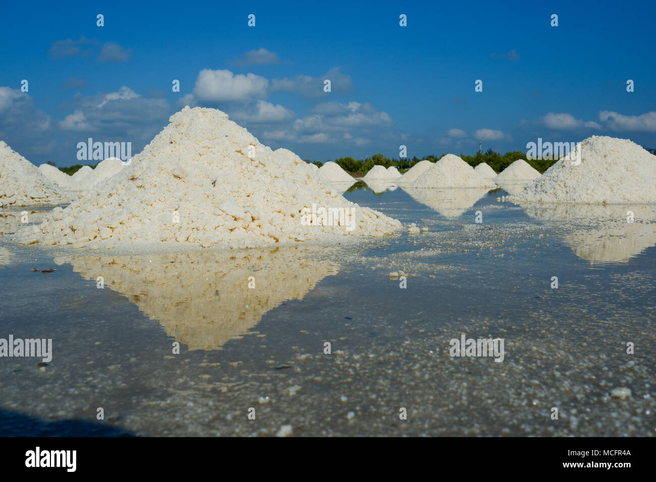 White salt field in sunny day. Royalty high quality free stock image of ...