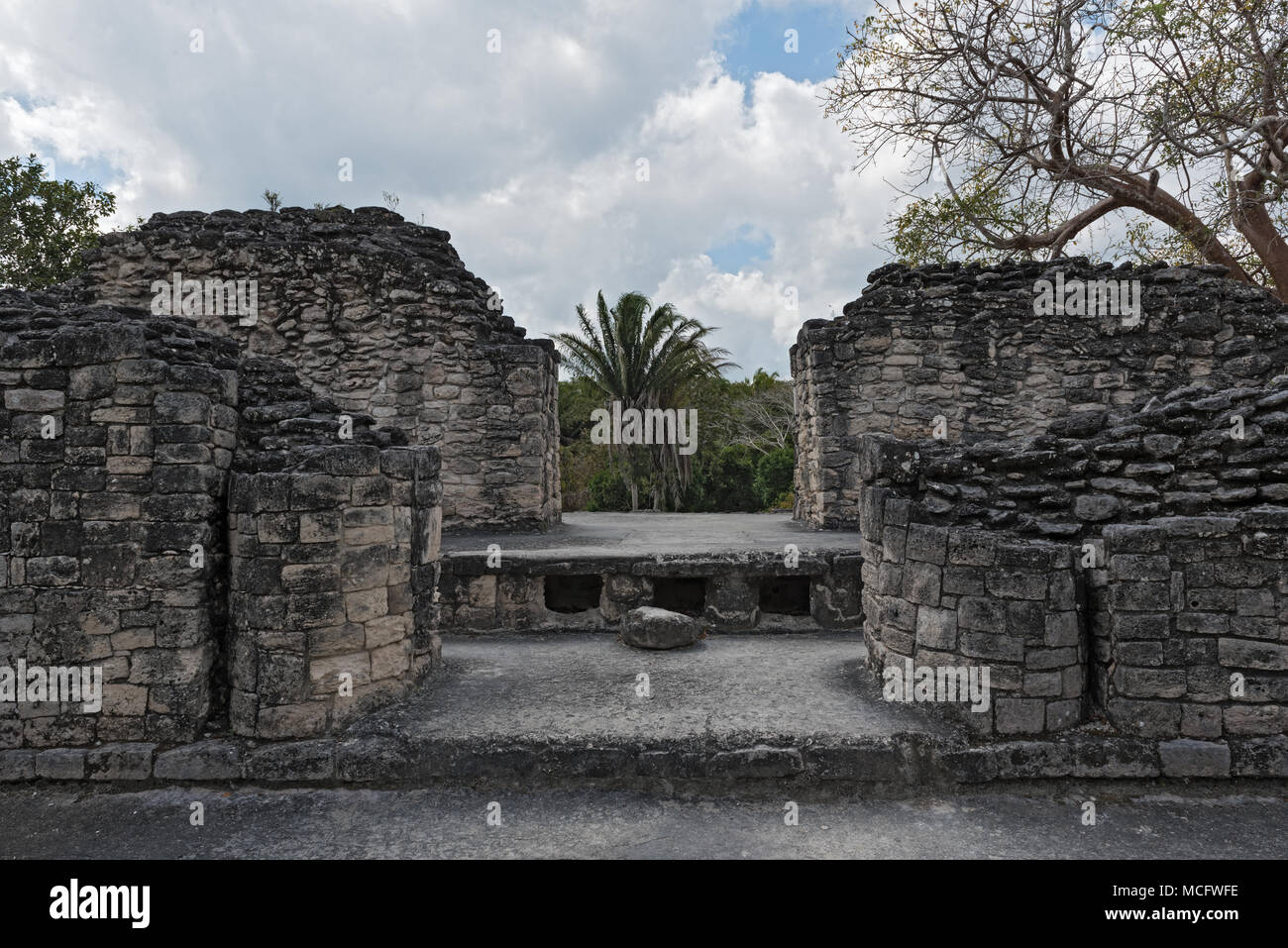 The ruins of the ancient Mayan city of Kohunlich, Quintana Roo, Mexico ...