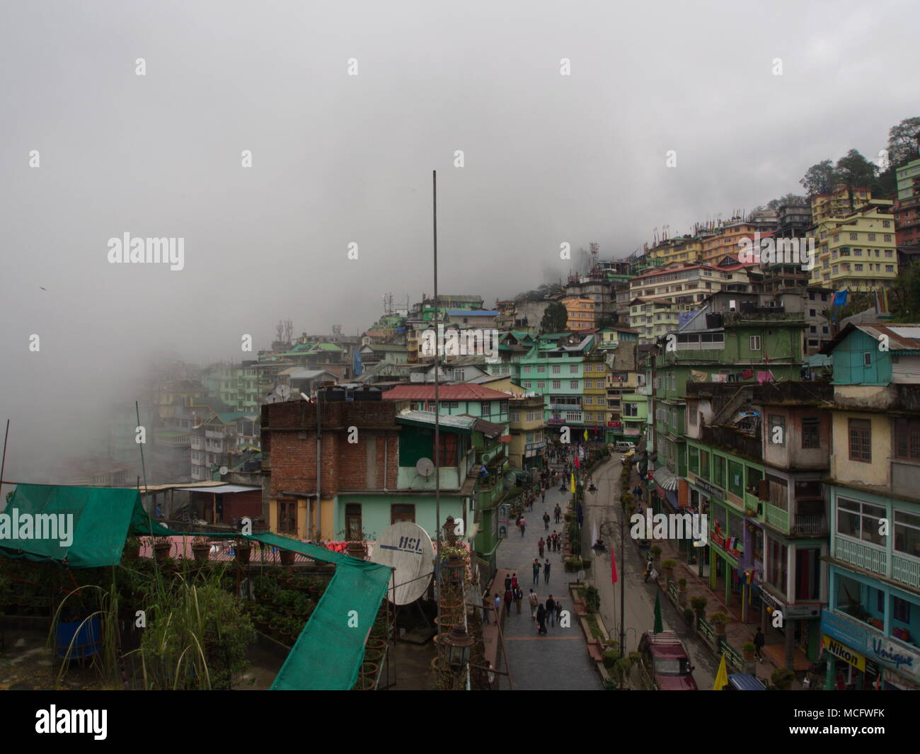 Bird of sikkim hi-res stock photography and images - Alamy