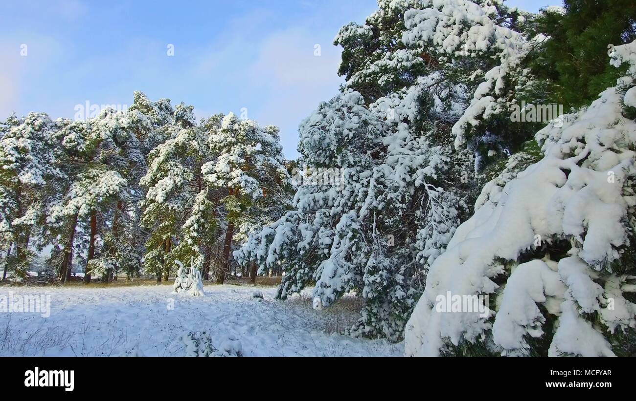 Drone shots during frosty winter hi-res stock photography and images ...