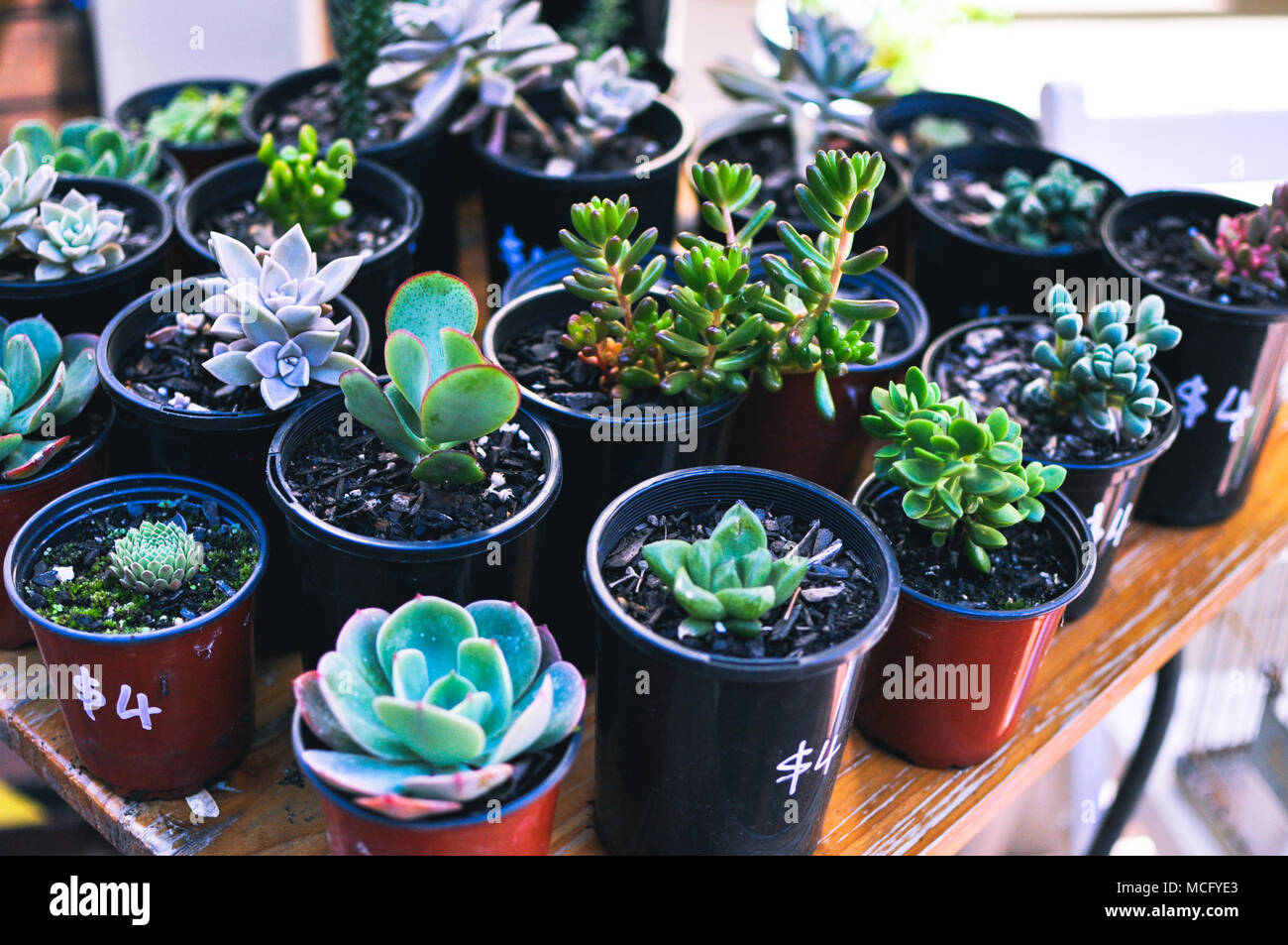 Handorf, South Australia Stock Photo - Alamy