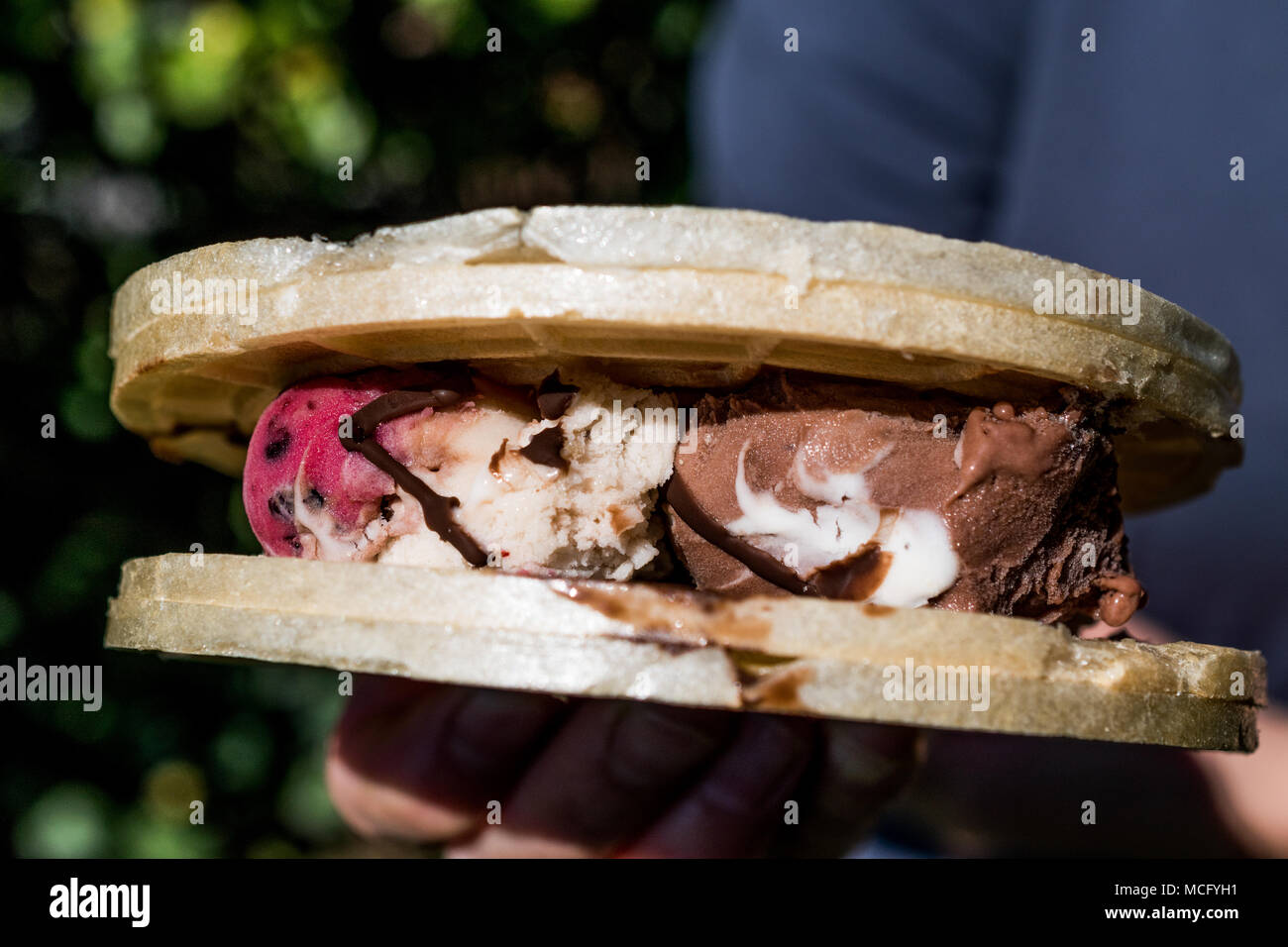 Halva ice cream sandwich / Kagit helva arasi dondurma. Dessert Concept ...