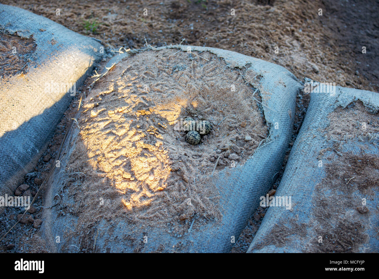 Sandbag hi-res stock photography and images - Alamy