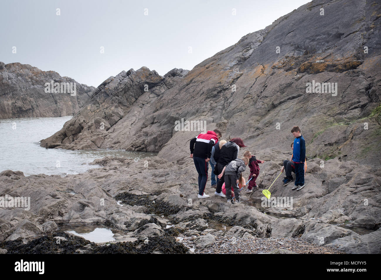 Family rock pooling in Welsh seaside resort of Mumbles Stock Photo - Alamy