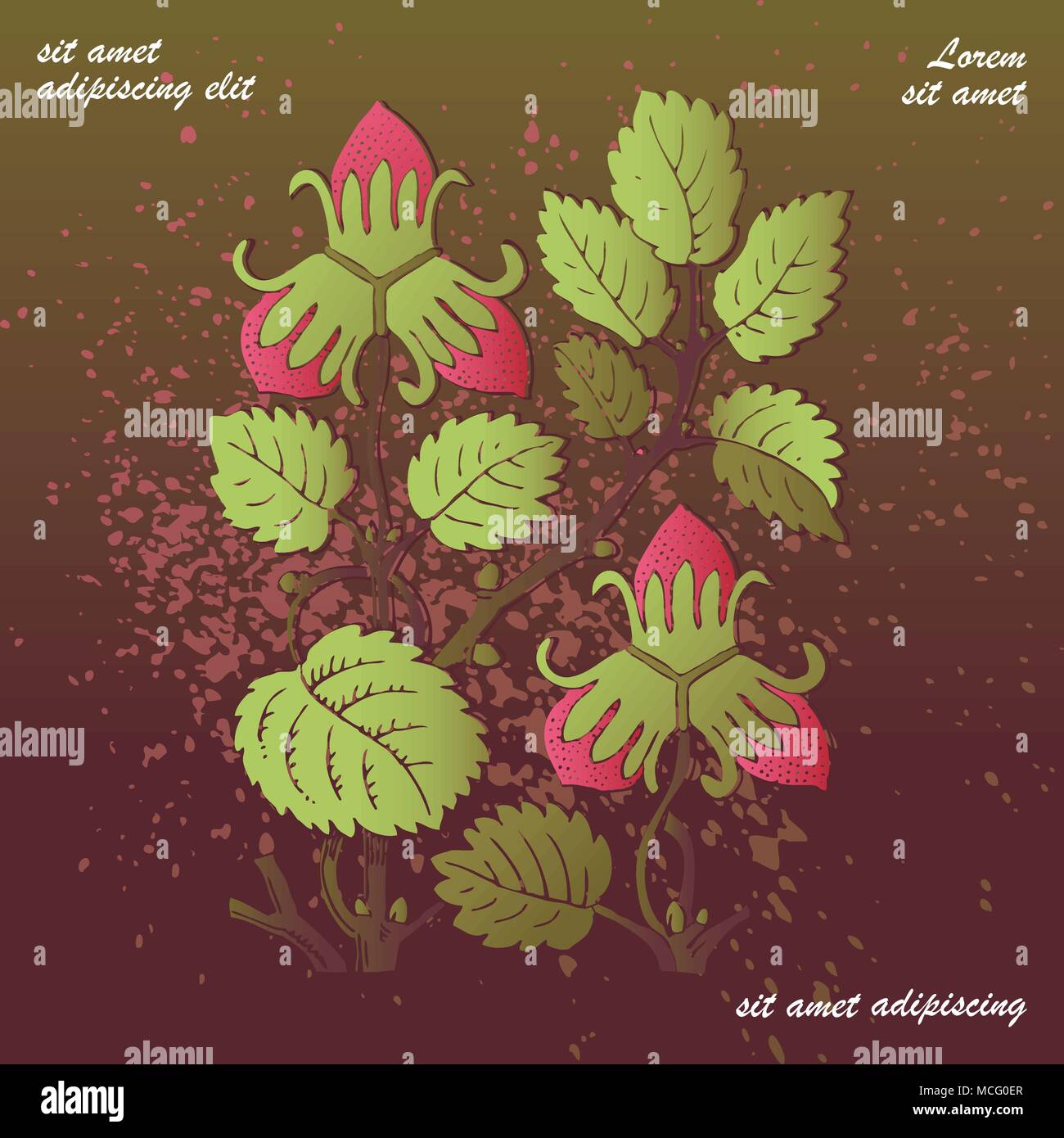 Strawberry pattern design templates product. Hand drawn red berry. Cute ...