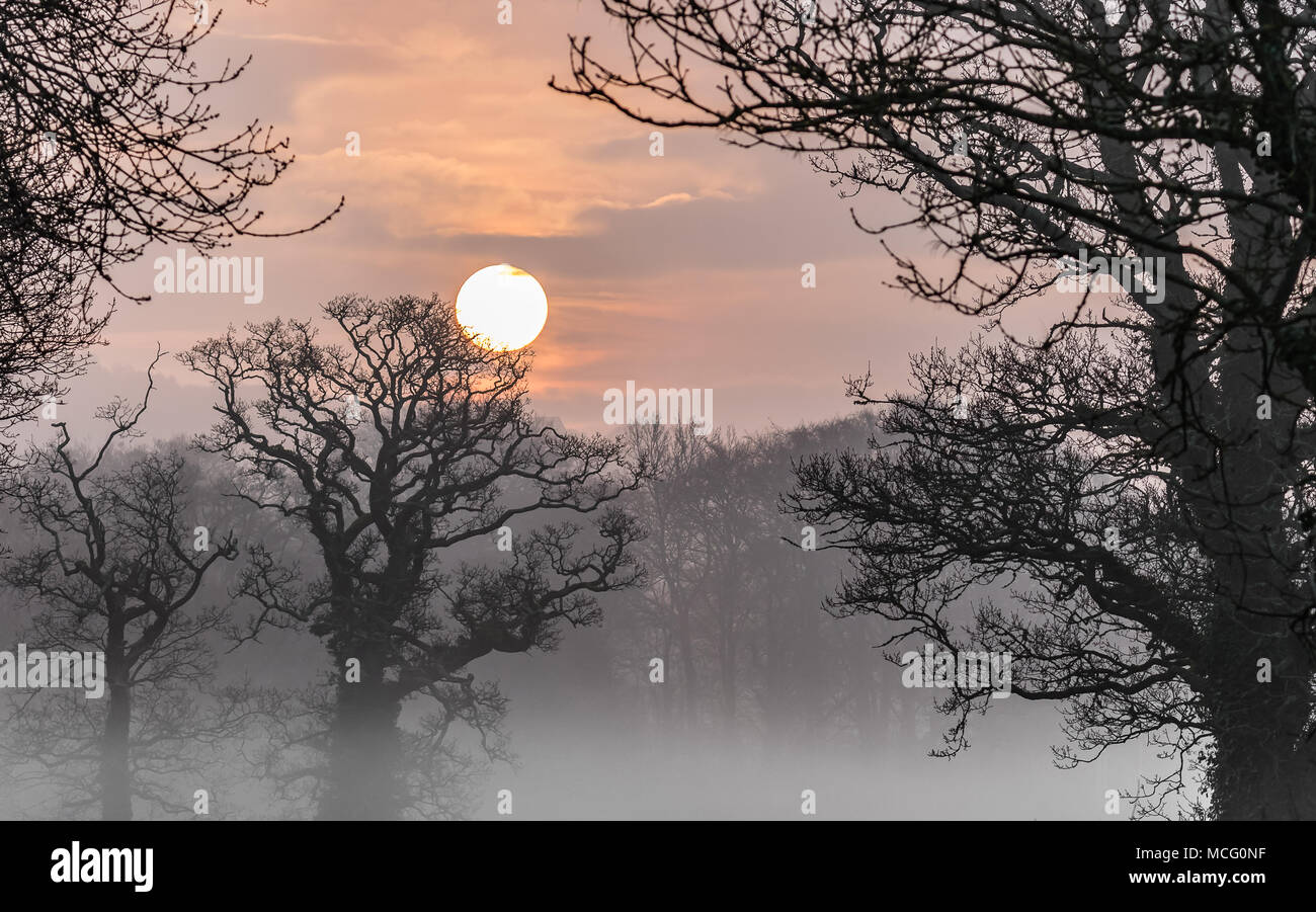 Early morning misty weather hi-res stock photography and images - Alamy