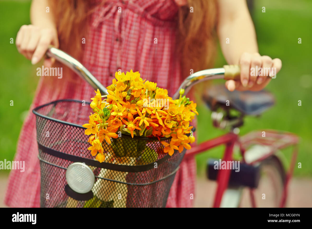 bike with flowers in a basket Stock Photo - Alamy
