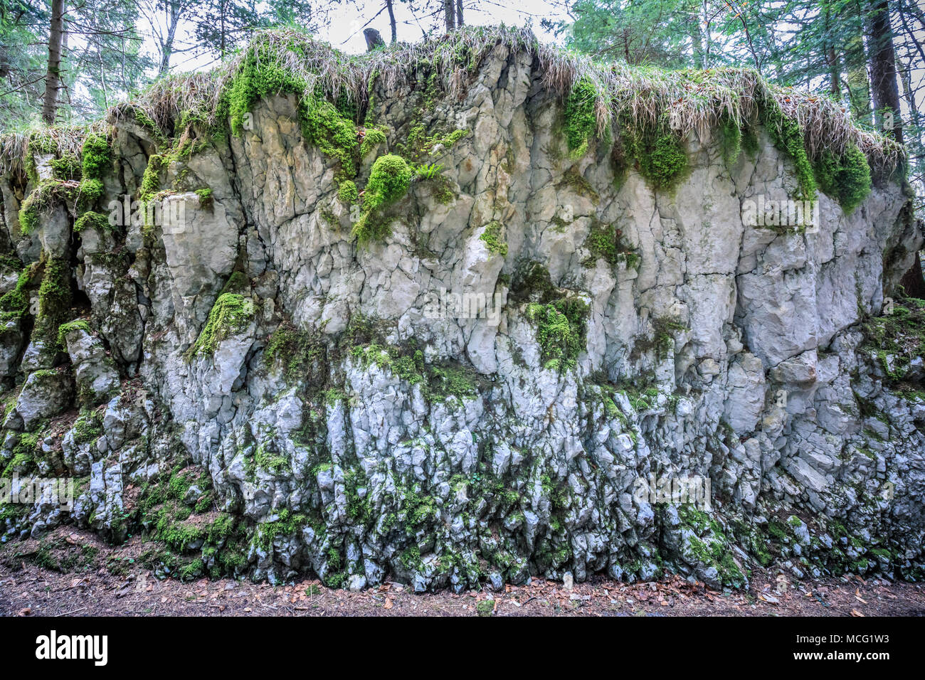 abstract rock structure near saut du doubs waterfall switzerland Stock ...