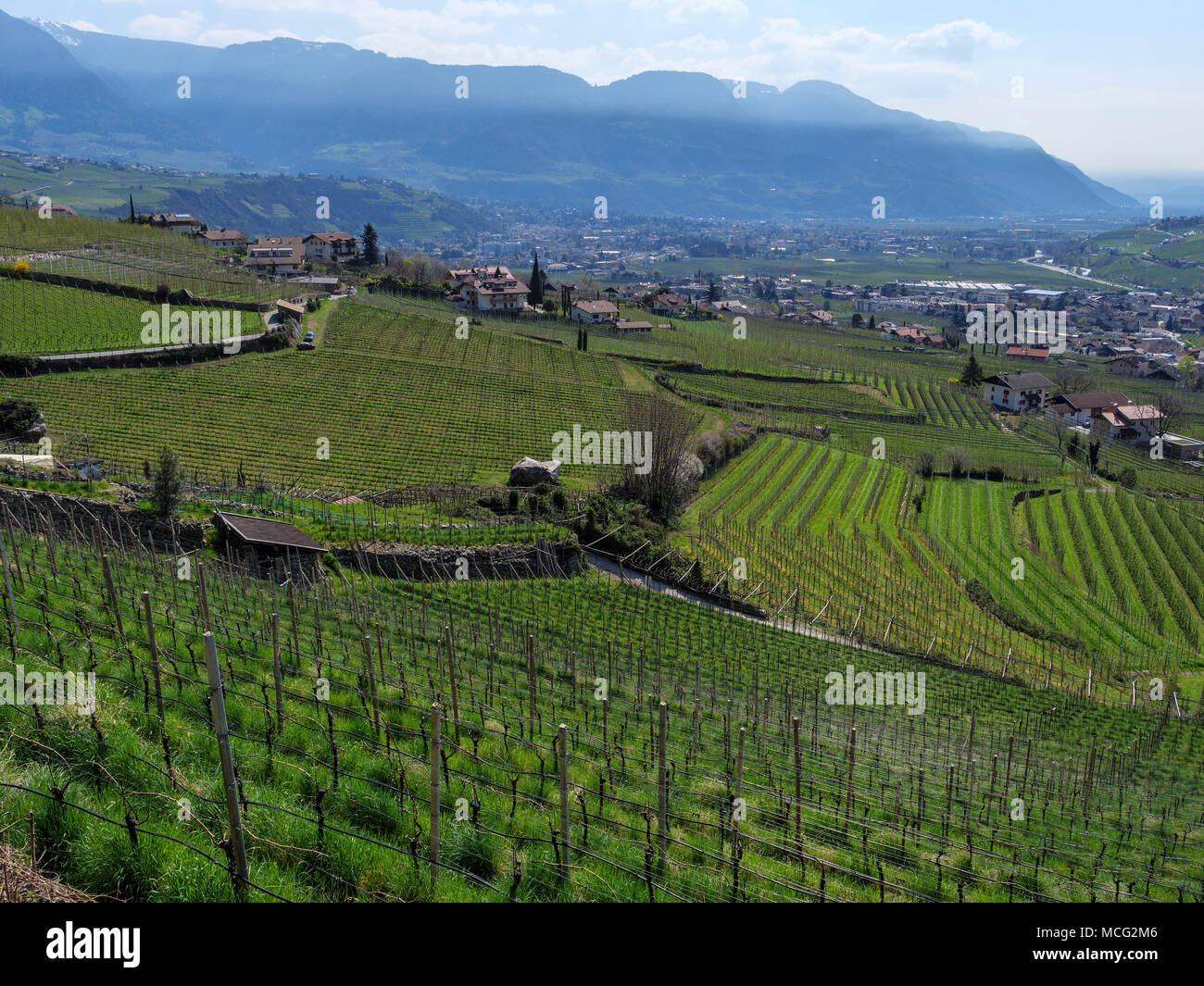 Scenery at Hiking Trail Algunder Waalweg, Algund-Lagundo, province ...