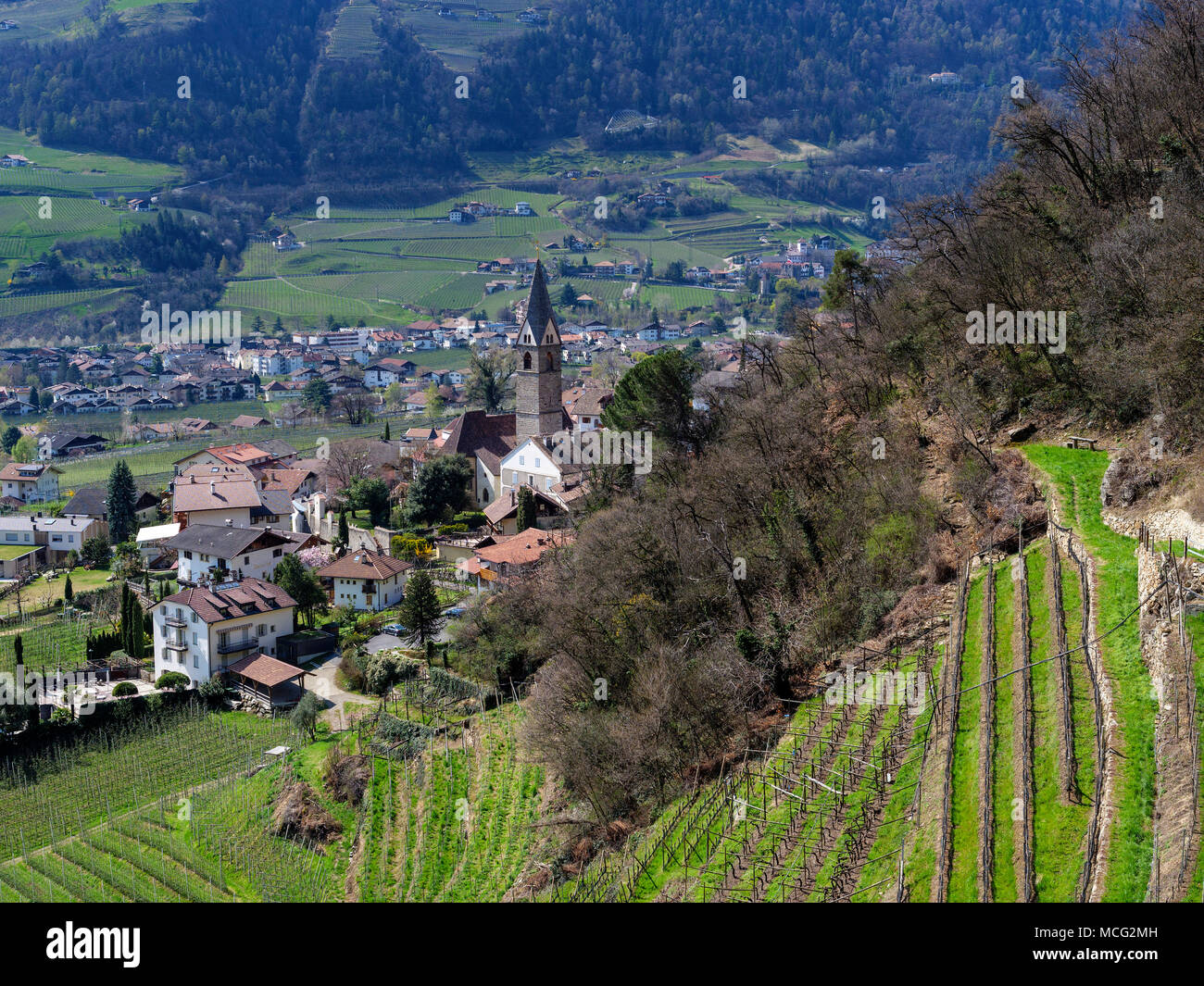 district Dorf of Algund-Lagundo, province Bozen-South Tyrol, Italy ...
