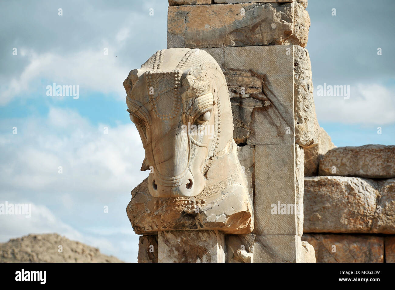Persian Horse sculpture, Persepolis, Shiraz, Iran Stock Photo - Alamy