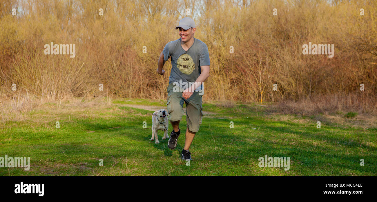 The man trains the dog. Educating dog. Play with a pet. Dog handler ...