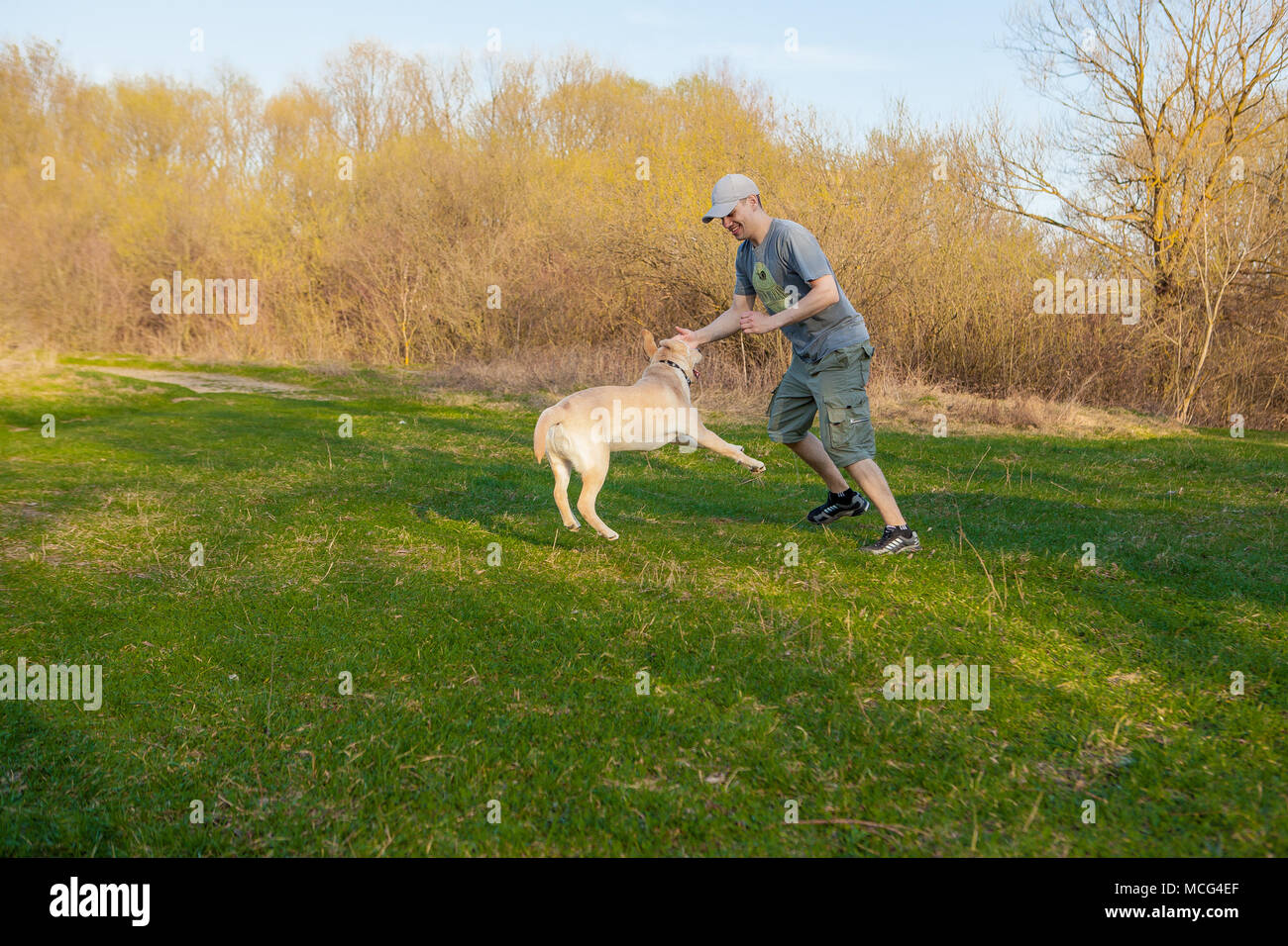 The man trains the dog. Educating dog. Play with a pet. Dog handler ...