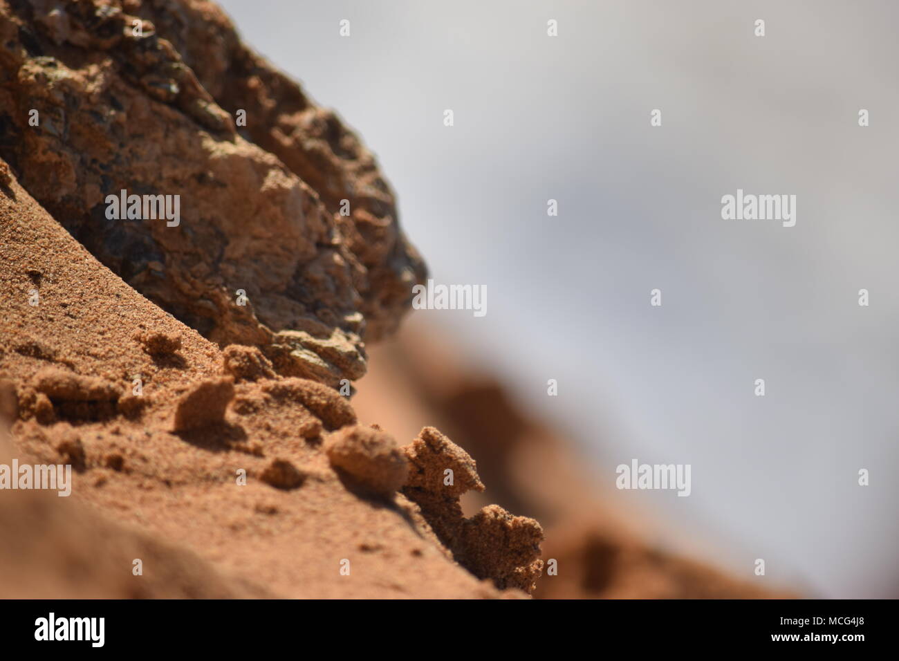Sand in the beach / Arena en la playa Stock Photo - Alamy