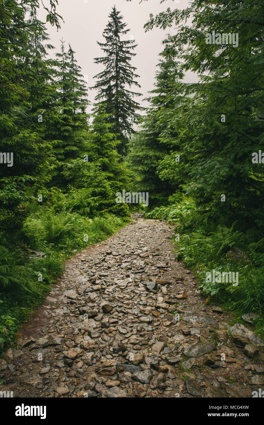 Hiking stone path in hi-res stock photography and images - Alamy