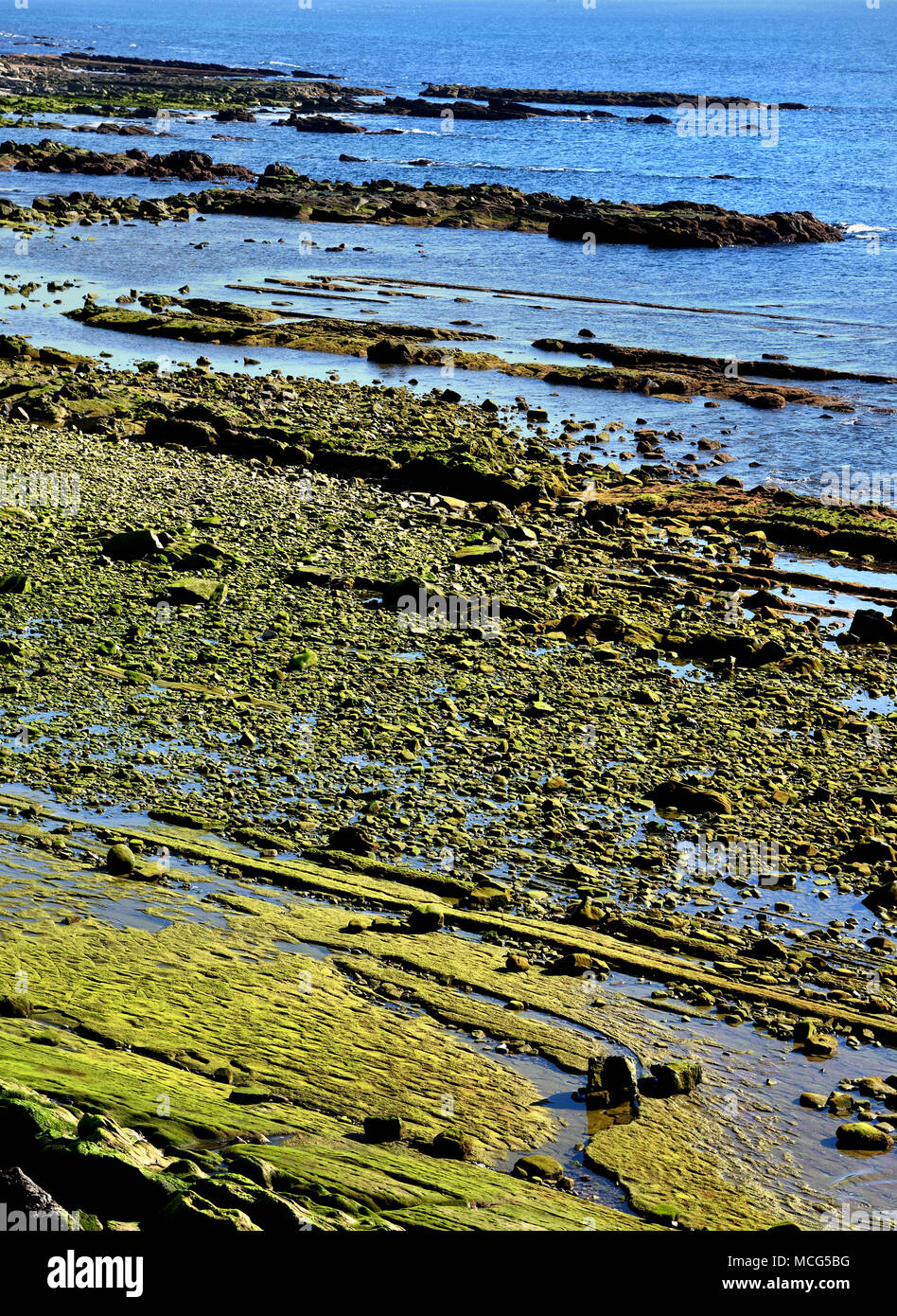 Green algae rock cliffs hi-res stock photography and images - Alamy