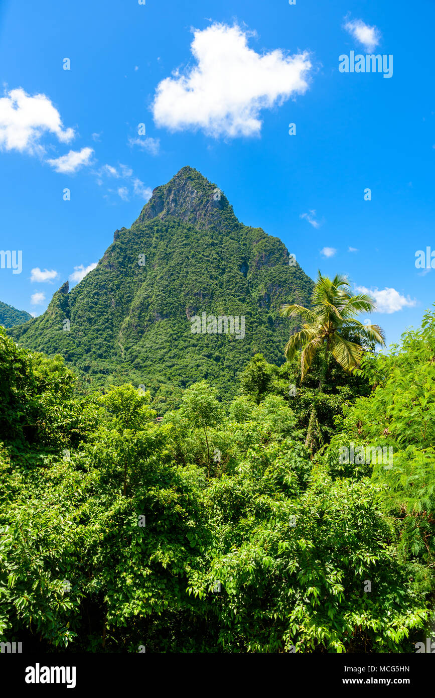 Gros and Petit Pitons near village Soufriere on Caribbean island St ...