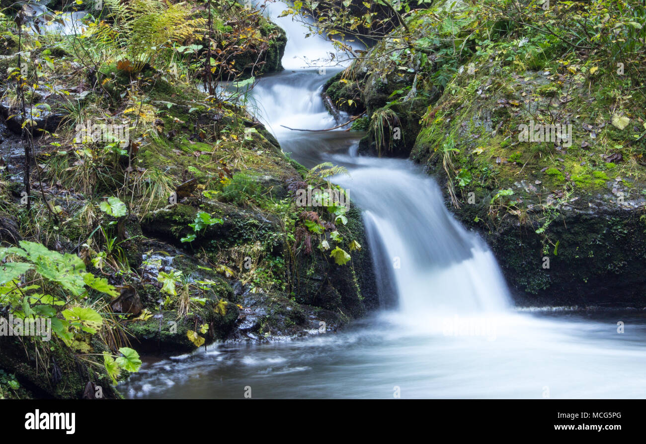 The river White Opava in the Jeseniky mountain in the Czech Republic ...