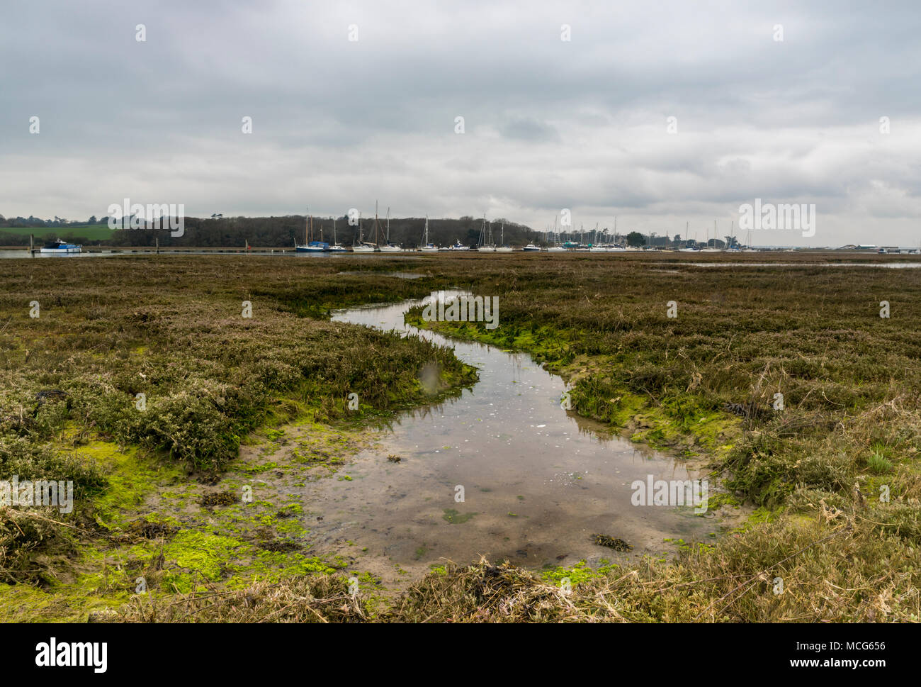 Tidal Marshland High Resolution Stock Photography and Images - Alamy