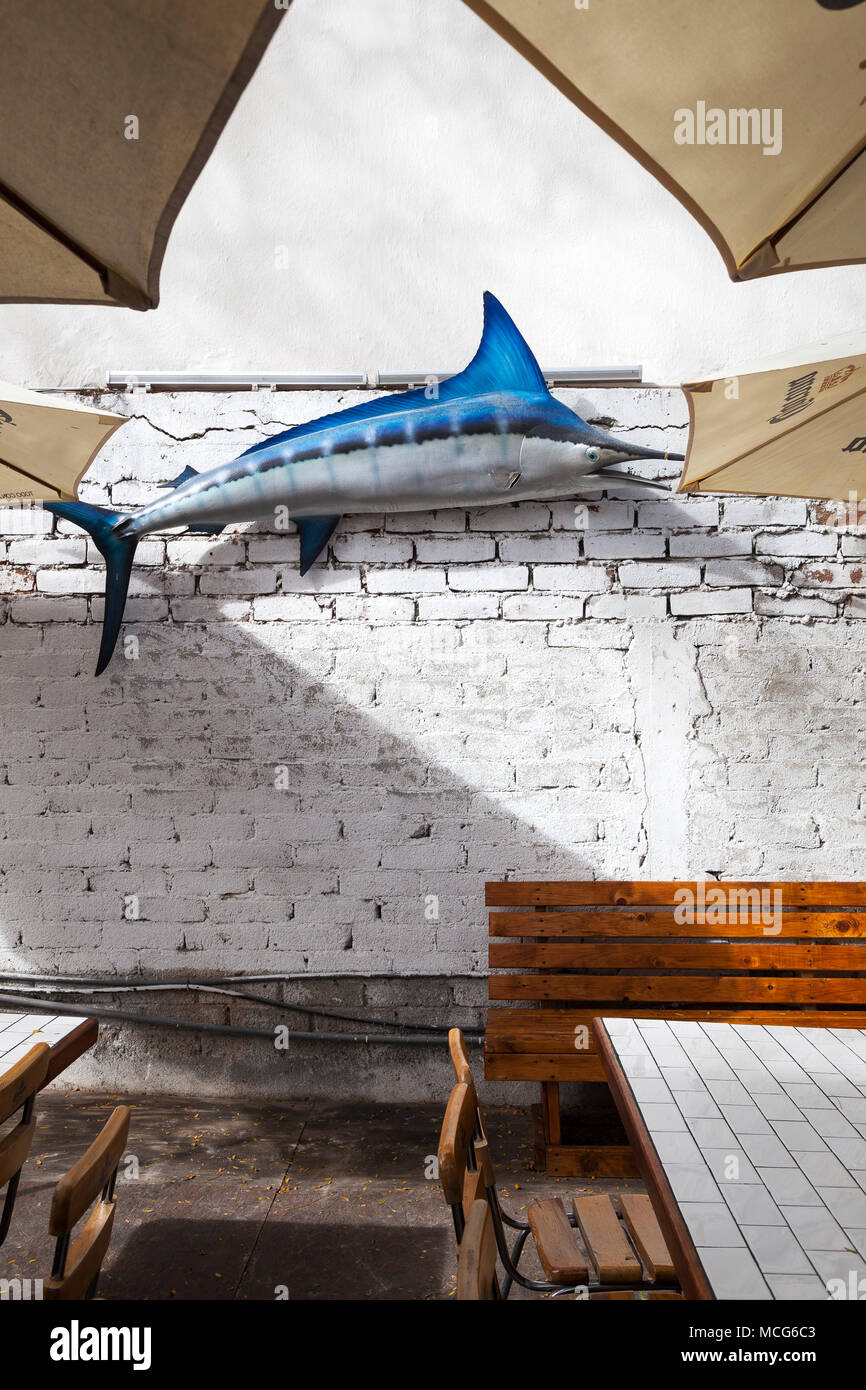 Fish mounted on a wall at the Telefónica Gastro Park Tijuana, Baja ...