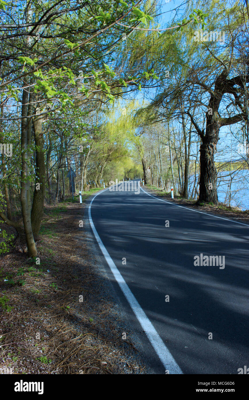 Tree line avenue hi-res stock photography and images - Alamy