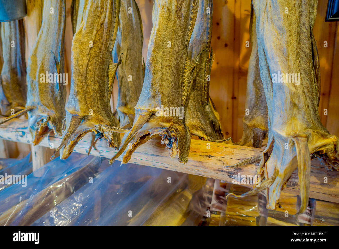 View of traditional way of drying cod stock fish inside of a building ...