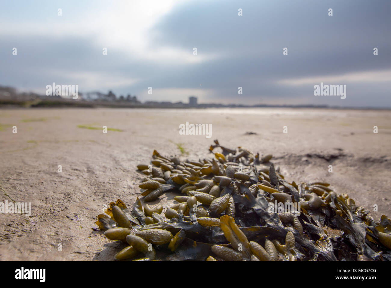 Morecambe bay beach hi-res stock photography and images - Alamy