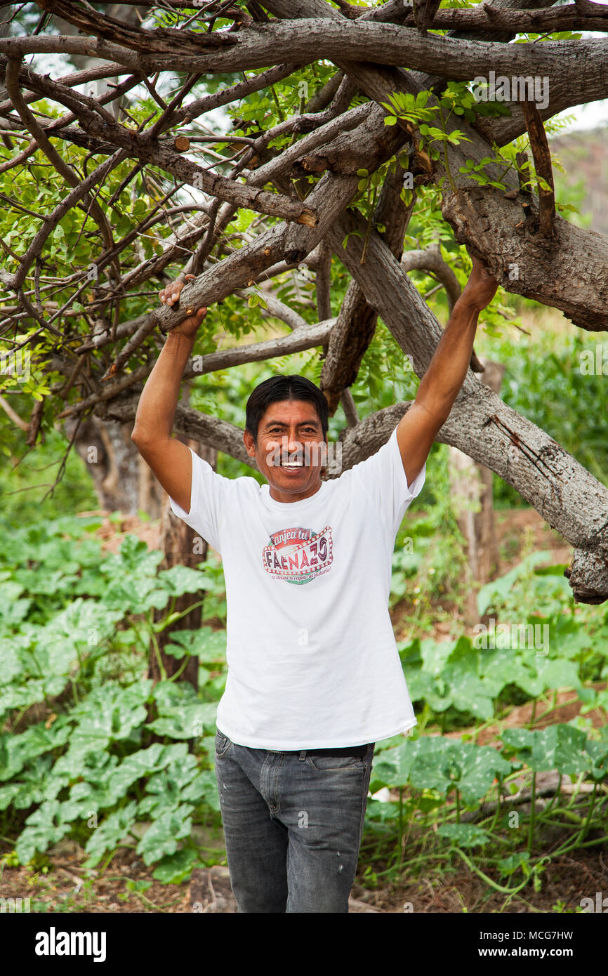 A chile farmer in the Canada region of Oaxaca. The farm grows rare ...