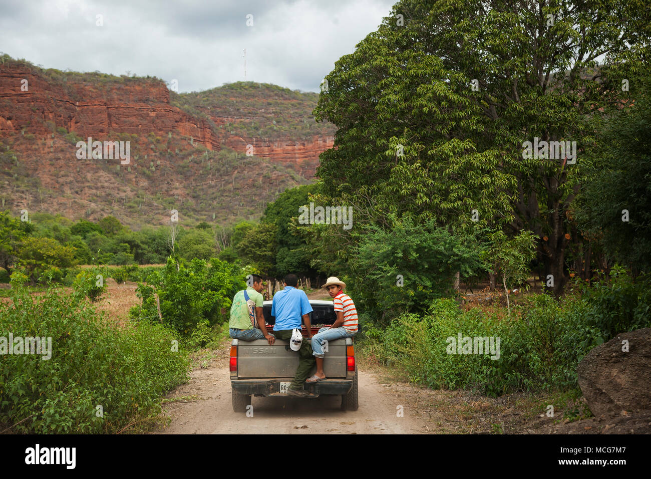 Workers leave a chile farm in the Canada region of Oaxaca in the back ...