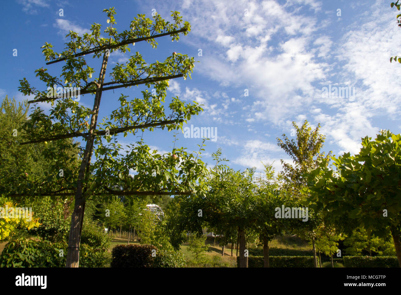 Sauerlandpark of Hemer city in germany Stock Photo - Alamy