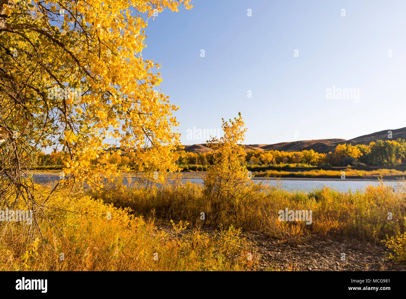 Indian water fall hi-res stock photography and images - Alamy