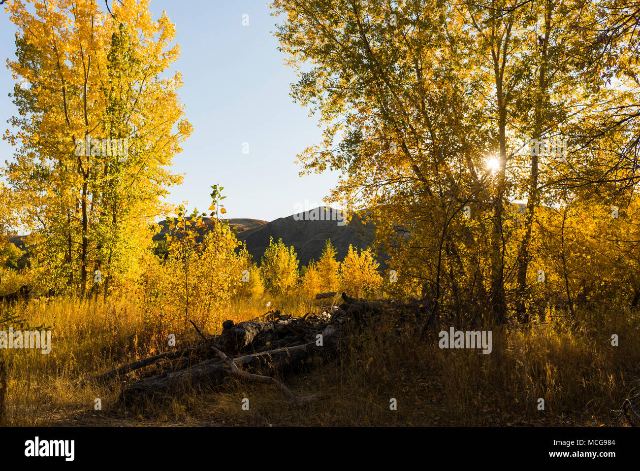 Oldman river valley hi-res stock photography and images - Alamy