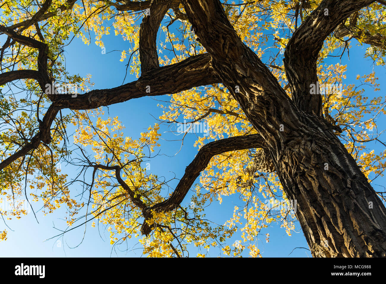 Oldman river valley hi-res stock photography and images - Alamy