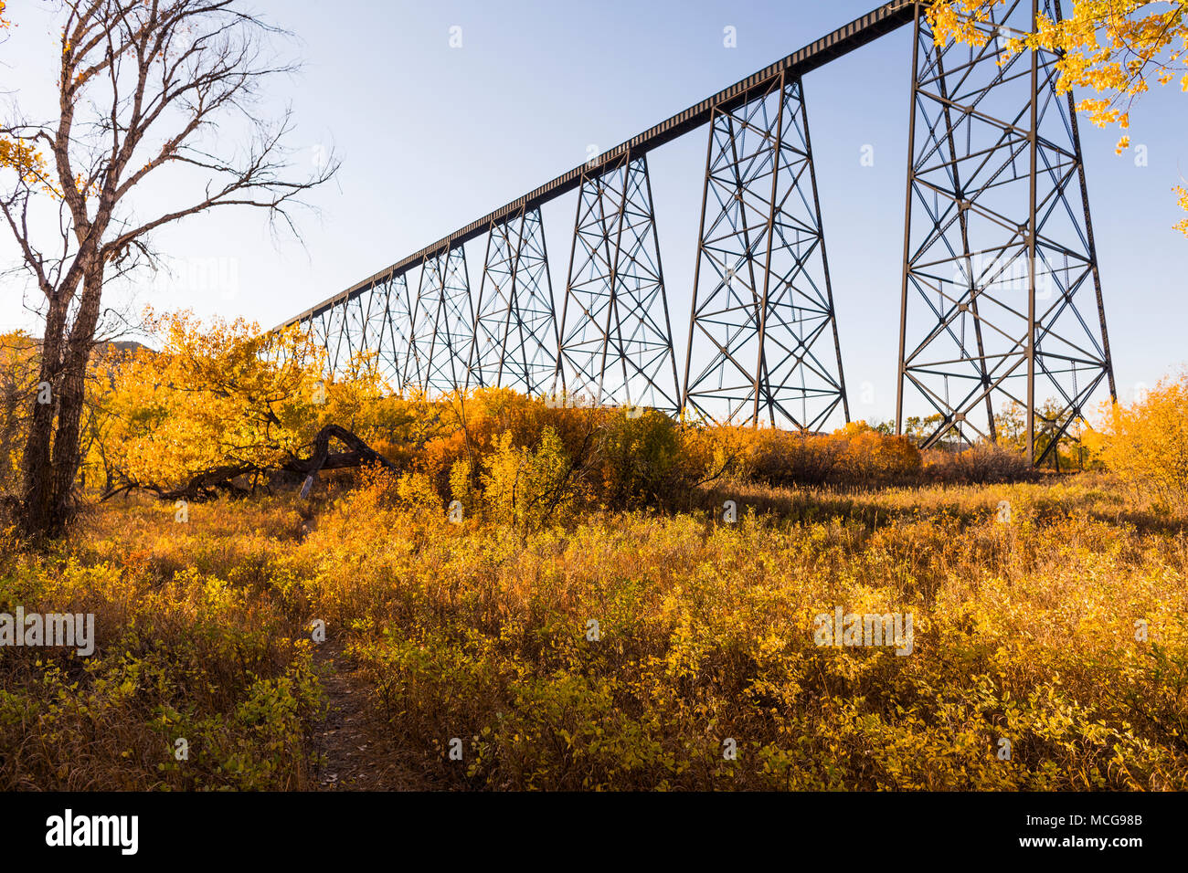 Autumn tree railway bridge hi-res stock photography and images - Alamy