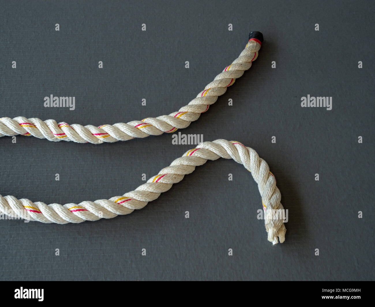 Overhead view of battle ropes sitting on mats on a gym floor Stock ...
