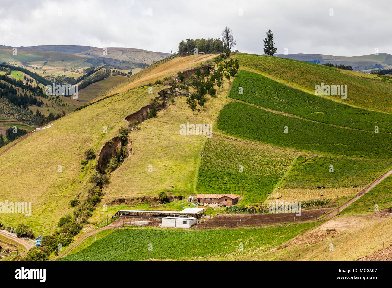 Ecuador agriculture hi-res stock photography and images - Alamy