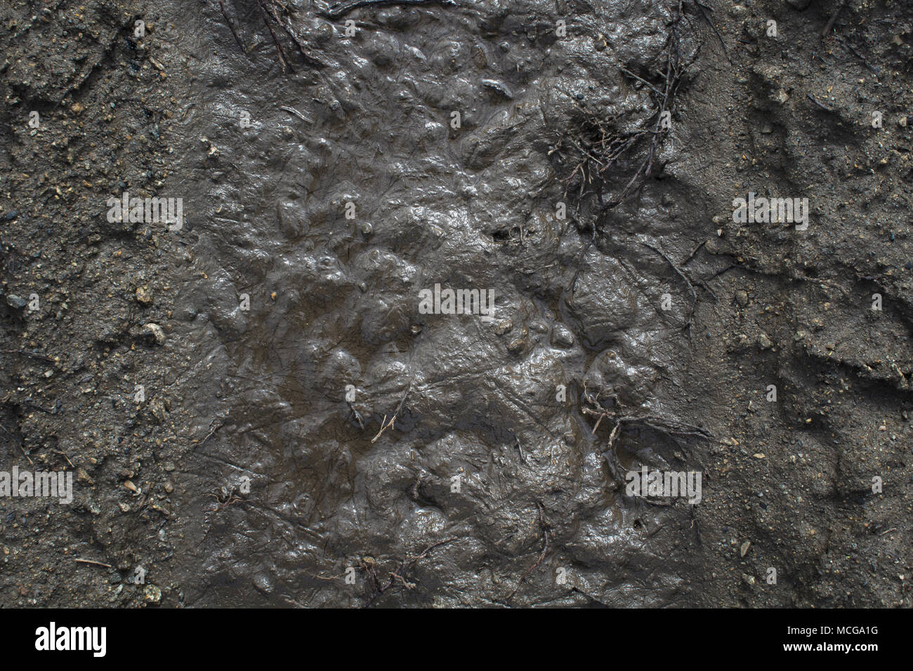 Black clay soil hi-res stock photography and images - Alamy