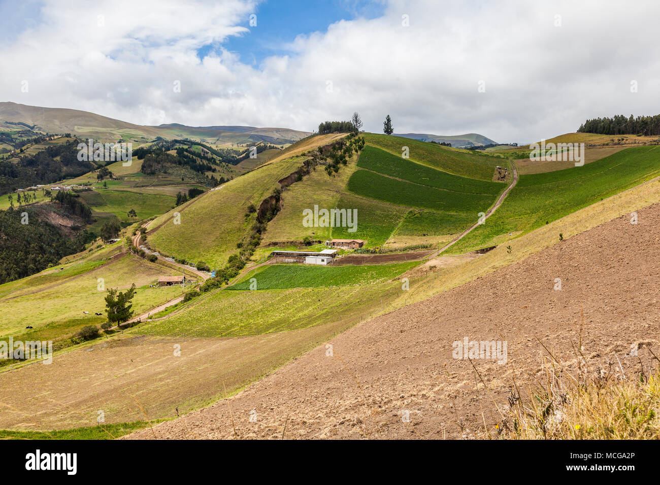 Andes ecuador hi-res stock photography and images - Alamy