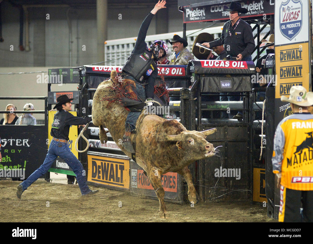 Brock invitational hi-res stock photography and images - Alamy