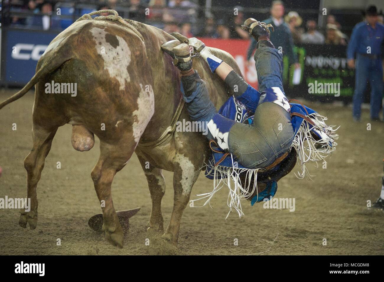 Tacoma, Washington, USA. 15th Apr, 2018. Bull rider CODY NANCE tries to ...