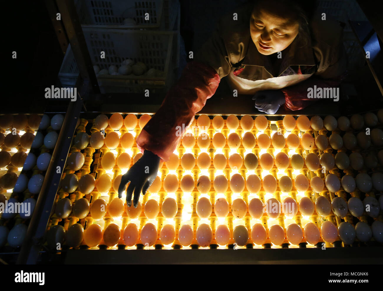 Gaoyou duck hi-res stock photography and images - Alamy