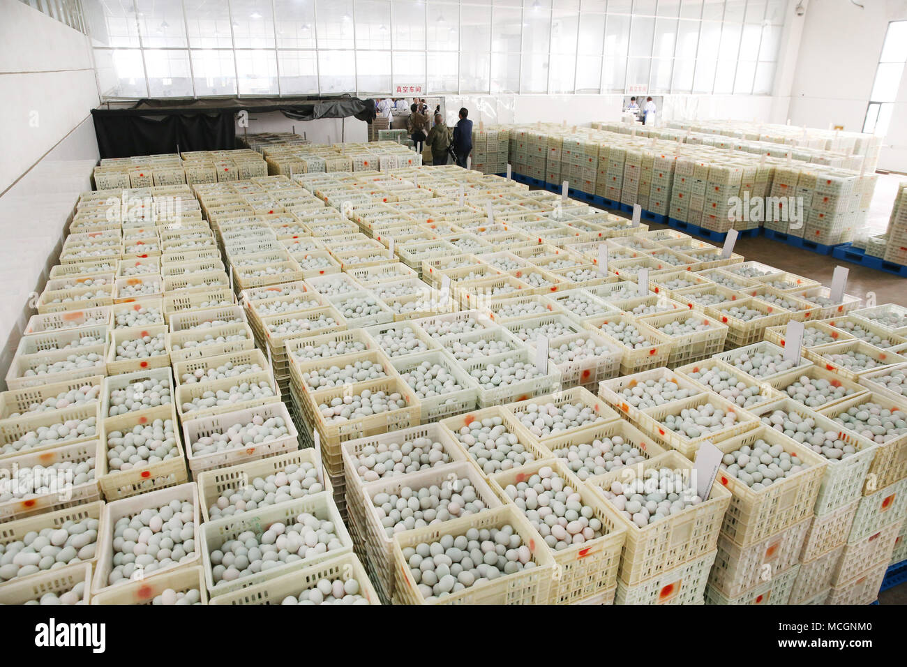 Gaoyou duck hi-res stock photography and images - Alamy