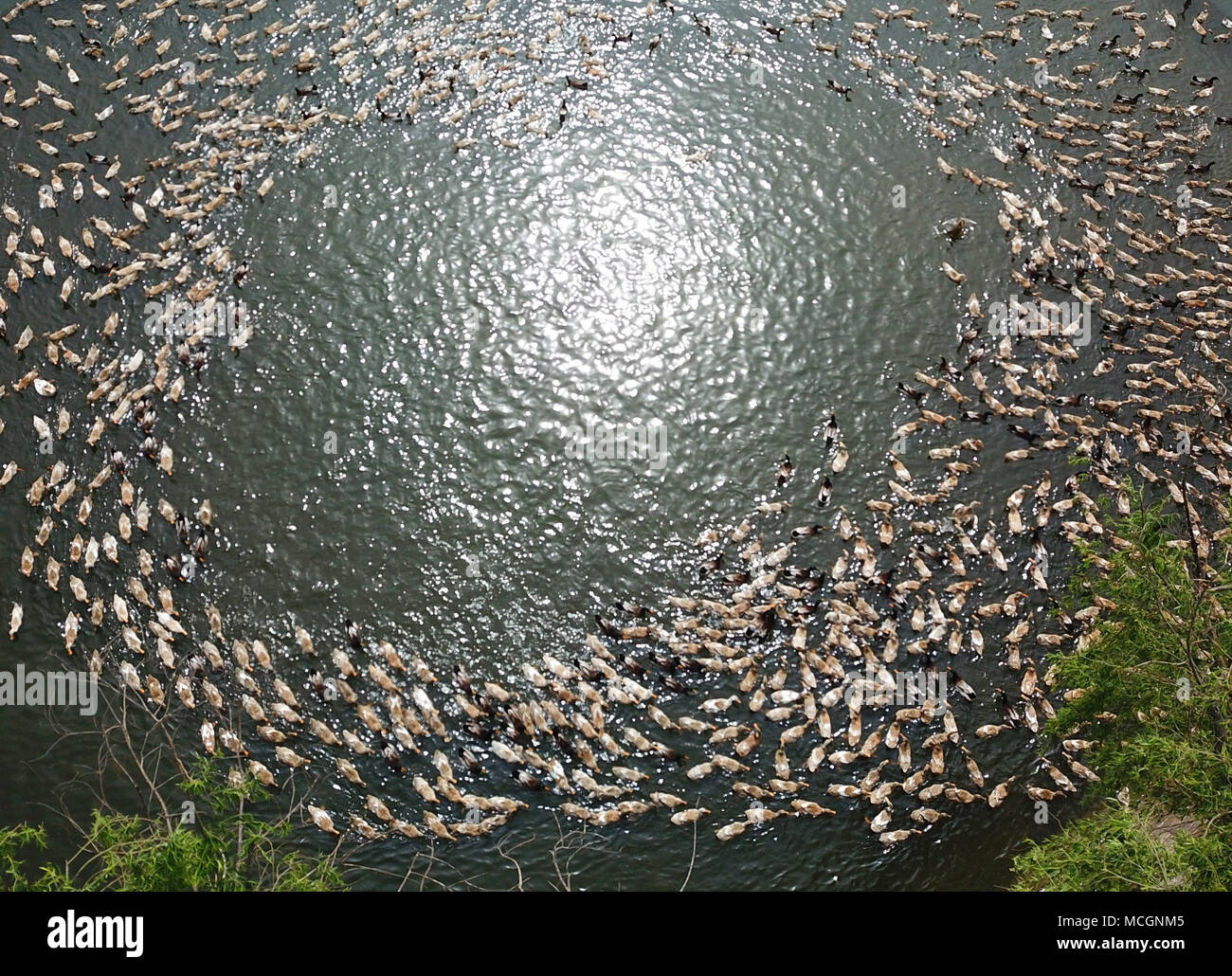 Gaoyou hi-res stock photography and images - Alamy